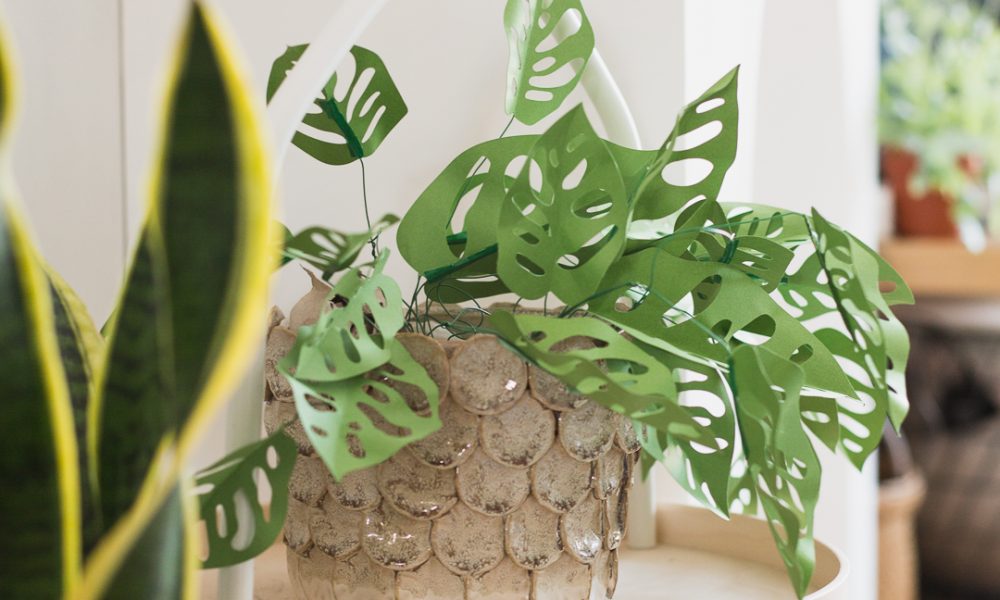Masque de singe en papier découpé DIY Plant - NaturallyMom